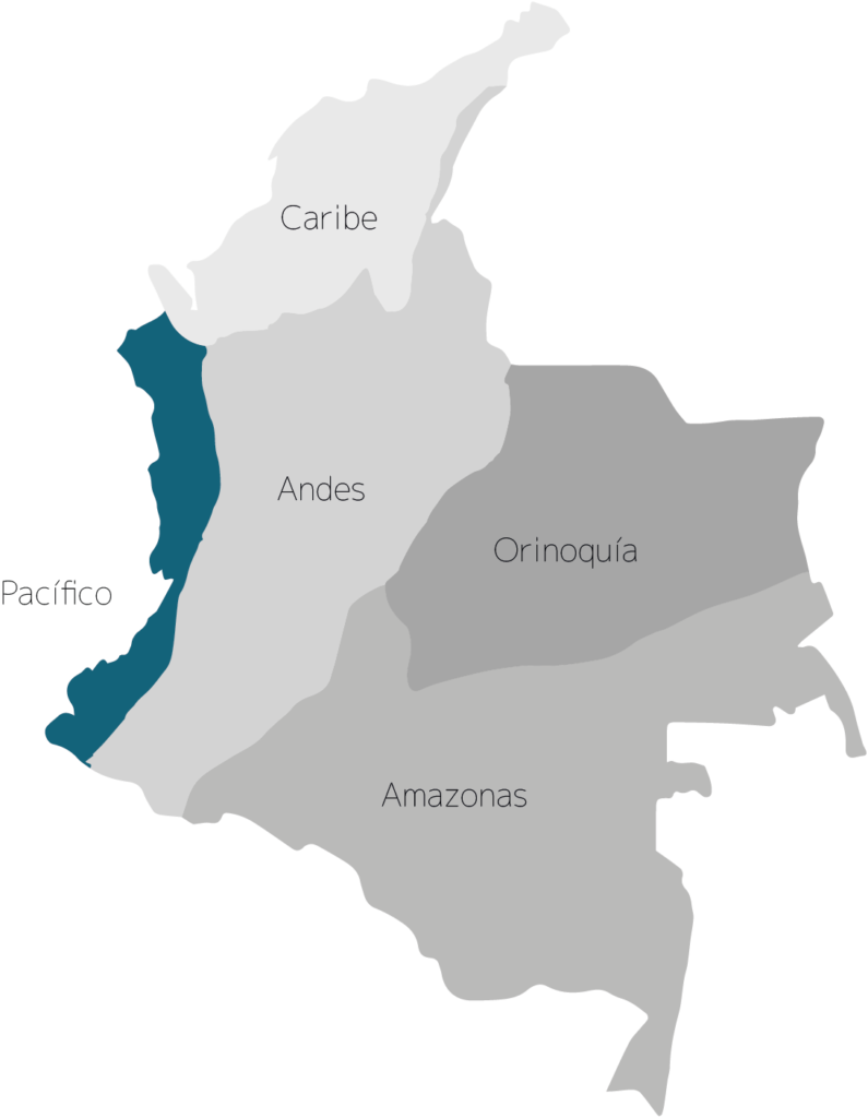 La Ruta Natural | El Pacífico